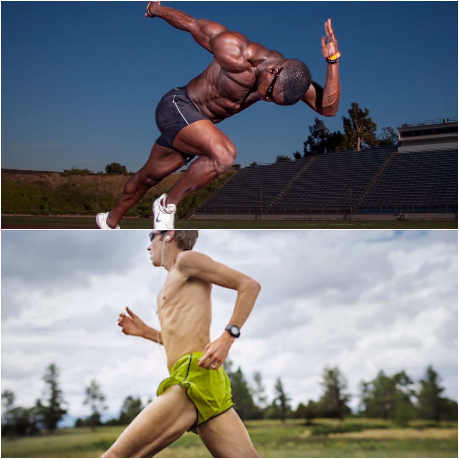 Your “Part by Part” Guide To More Muscle, Less Fat. | Tailored Coaching ...